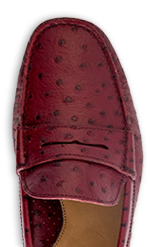 Spell Luxury | Spell Luxury